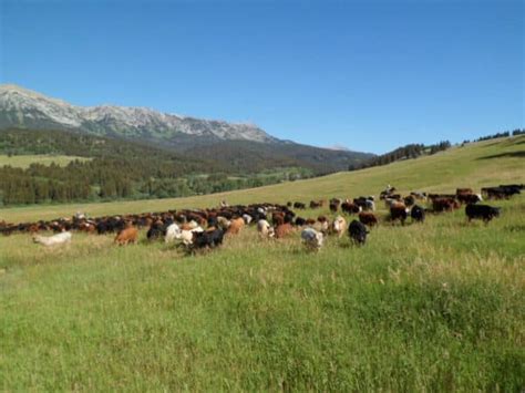 LAZY J RANCH Swan Land Company