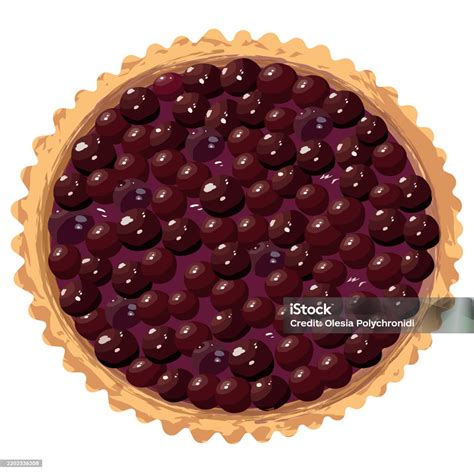 갓 구운 둥근 체리 파이 또는 체리 타르트 벡터 일러스트 레이 션 0명에 대한 스톡 벡터 아트 및 기타 이미지 Istock