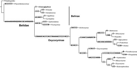strict consensus tree length ¼ 266 steps consistency index [ci] ¼