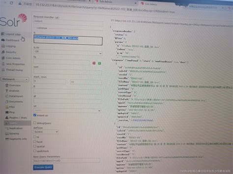 Java解析doc文档，推送到sorl服务器，然后java实现查询记录sor Java查询 Csdn博客