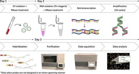 Final Workflow For Ev Rna Extraction And Analysis On The Ncounter