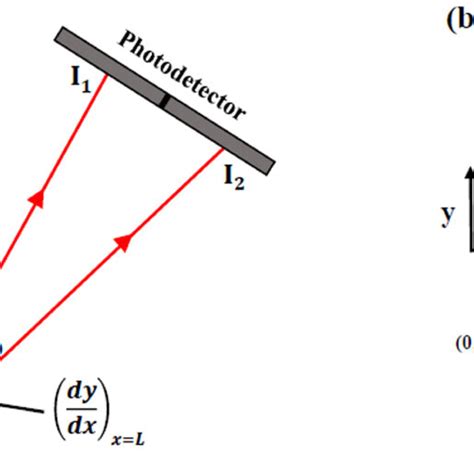 Frequency Dependent Oscillation Profile Amplitude Black And Download Scientific Diagram