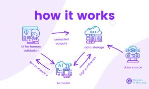 What Is A Human In The Loop Humans In The Loop