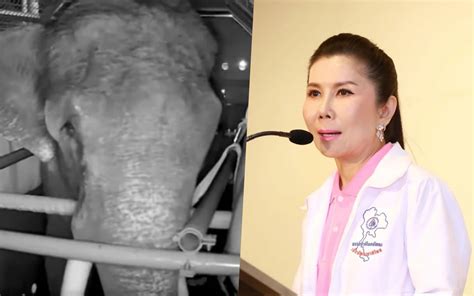 ขอบคุณ ‘กัญจนา แม่พระทุ่มเทช่วย พลายศักดิ์สุรินทร์ กลับบ้าน