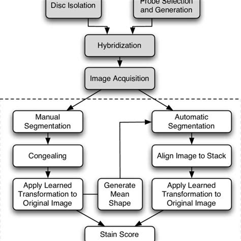 3 example segmentation results using the combined segmentation