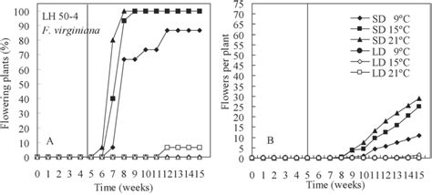 Effects Of Photoperiod And Temperature On The Time Course Of Flowering Download Scientific