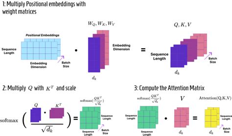 Implementing A Transformer Encoder From Scratch With Jax And Haiku 🤖