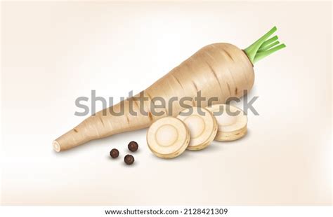 Parsnip Root Vector Illustration Parsnip Slices Stock Vector Royalty Free 2128421309