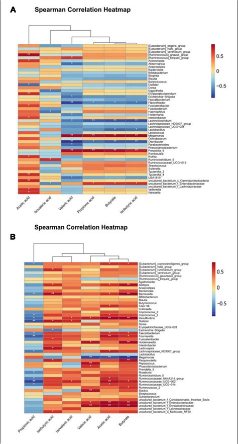 Figure 6 From A Class Iib Bacteriocin Plantaricin Nc8 Modulates Gut Microbiota Of Different