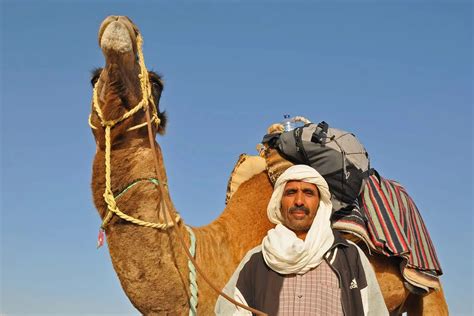 Tunisia Afrcan Ebony Camel Cunt