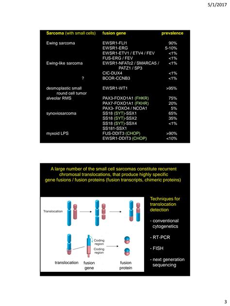 Solution Johannes Bras Small Round Cell Sarcomas With Emphasis On Ewing Sarcoma Ewing Like