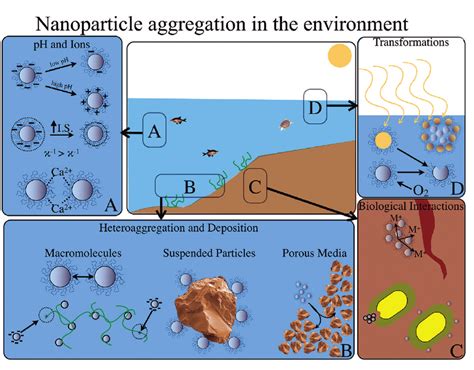 Publication Nanoparticle Aggregation Challenges To Understanding Transport And Reactivity In