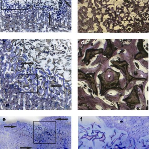 A The Assessment Of Cell Viability Using Mts Assay After Cm Dii Download Scientific Diagram