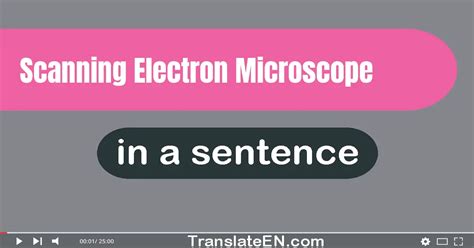 Scanning Electron Microscope In A Sentence
