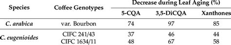 Decrease Of The Concentration Of 5 Cqa 35 Dicqa And Xanthones During Download Scientific