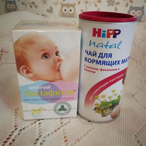 Чай для лактации: какой выбрать