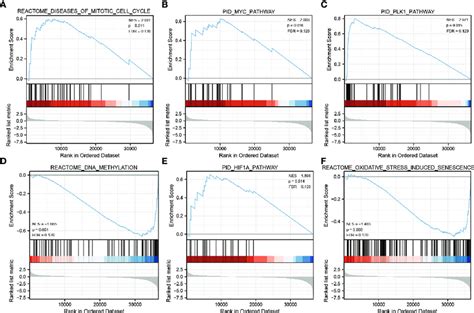 Gene Set Enrichment Analysis A Mitotic Cell Cycle B Myc Pathway