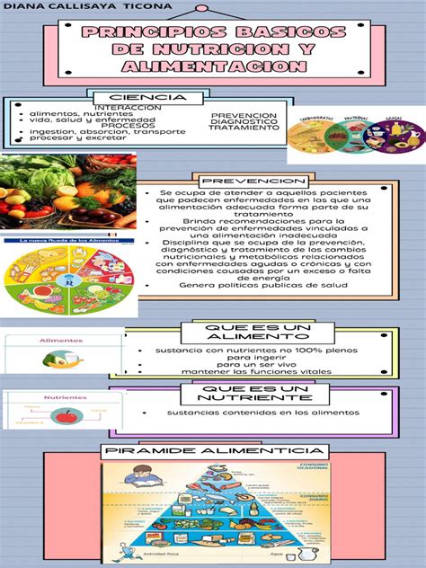 Principios Basicos De Nutricion Y Alimentacion Pdf