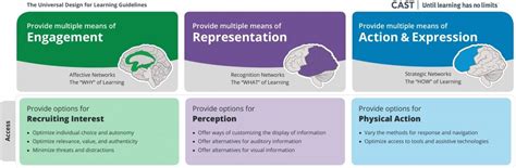 UDL And The Flipped Classroom The Full Picture User OFF