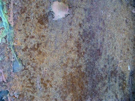 Rust Texture Stock Photo Anechka 2324804