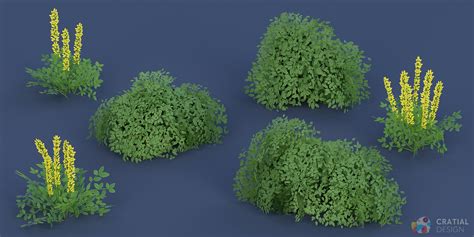 Stylized Pine Forest Nature Kit Blender Market