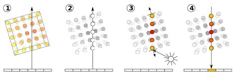 Neural Implicit Representations For 3d Shapes And Scenes Kaduris Blog