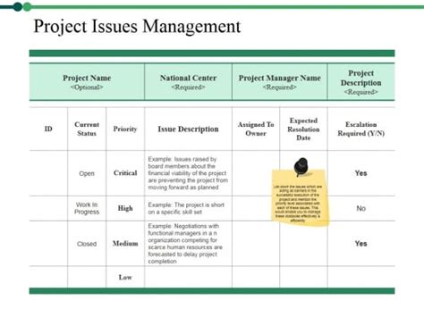 Project Issues Management Ppt PowerPoint Presentation Layouts Backgrounds PowerPoint Templates