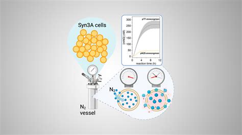 Researchers Open Up A Potential New Route For Designing Synthetic Cells European Synthetic