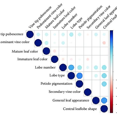 Correlation Among Phenotypic Variables Collected Within 106 Sweetpotato