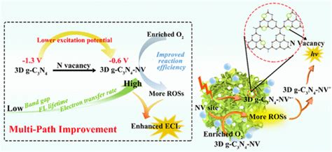 High Density N Vacancy Induced Multipath Electrochemiluminescence Improvement Of 3d G C3n4 For