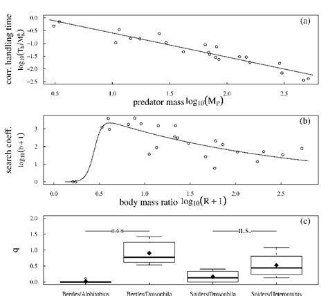 11 Allometric Scaling Of Functional Response Parameters A Log10