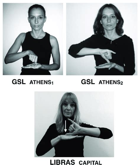 GSL And LIBRAS Sign Convergence Capital And Centre Download Scientific Diagram