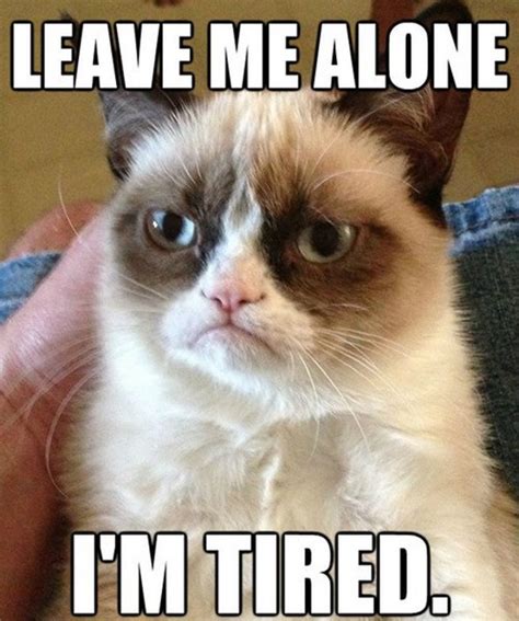 40 Truthful Memes About Being Tired Inspirationfeed