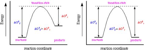Reversible Reaction Graph
