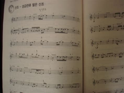 12 String Sanjo Kayagum Textbook Sound Of Asia Musical Instruments