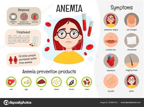 Vector Medical Poster Anemia Symptoms Of The Disease Prevention My
