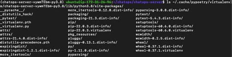 Python 패키지 관리를 위한 Poetry가상환경까지 Bespin Tech Blog