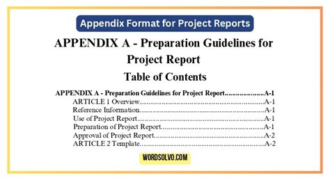 An In-Depth Exploration of Appendix Examples in Various Academic Documents