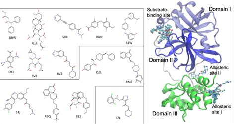 Drugs Bind At Different Subsites Within The Substrate Binding Site