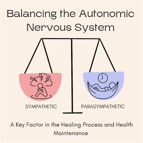 Balancing The Autonomic Nervous System The Key Factor In The Healing