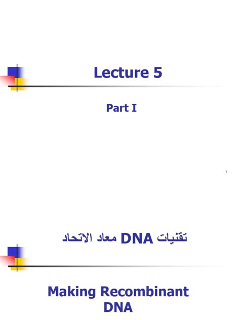 Lecture 5 Preparation Of Molecular Construct For Transformation