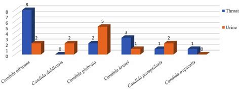 Distribution Of Sample Wise Isolation Of Candida Species Download Scientific Diagram