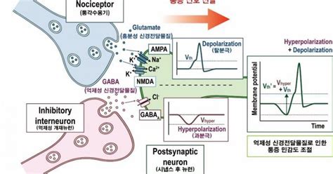 카이스트 통증 느끼고 조절하는 뉴로모픽 반도체 소자 개발