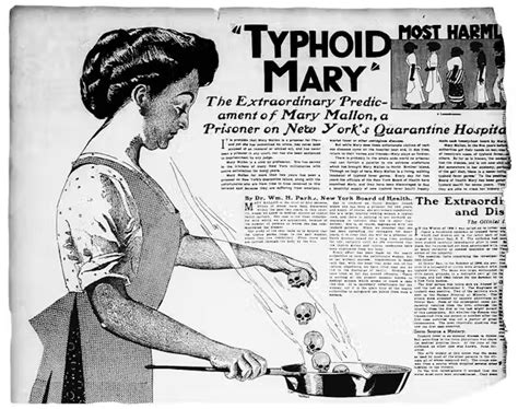 La Salmonella Typhis