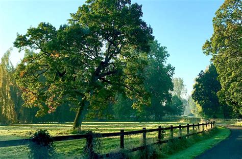 Home Nitrate Offset Home Nitrate Offset Fareham Borough Council