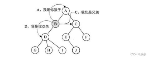 Cc 树的基本概念treetree在c加加中是什么意思 Csdn博客