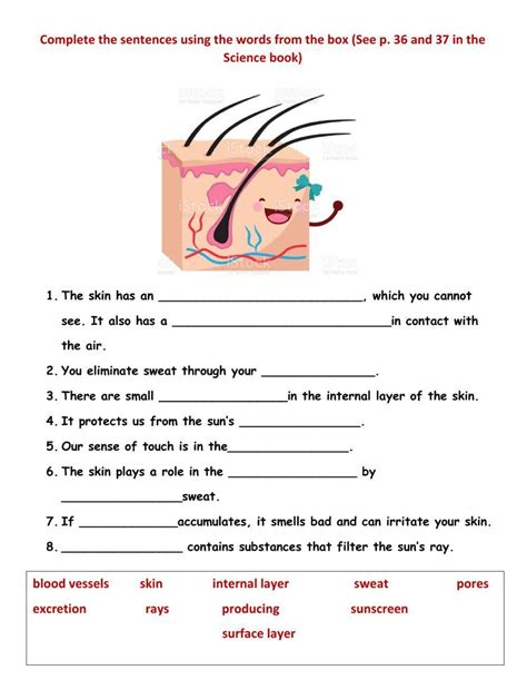 Parts Of The Skin Interactive Worksheet Live Worksheets Worksheets