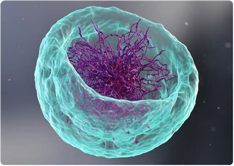 Chip Seq Analysis An Overview
