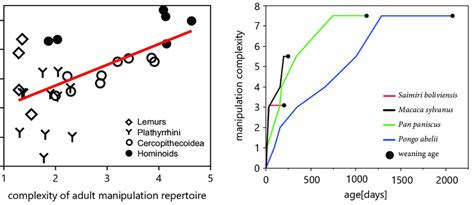 A Relative Age Corrected For The Age Of First Reproduction At Download Scientific Diagram
