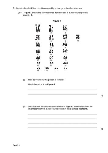 Aqa Gcse Biology 9 1 B13 10 Screening For Genetic Disorders Full Lesson Teaching Resources